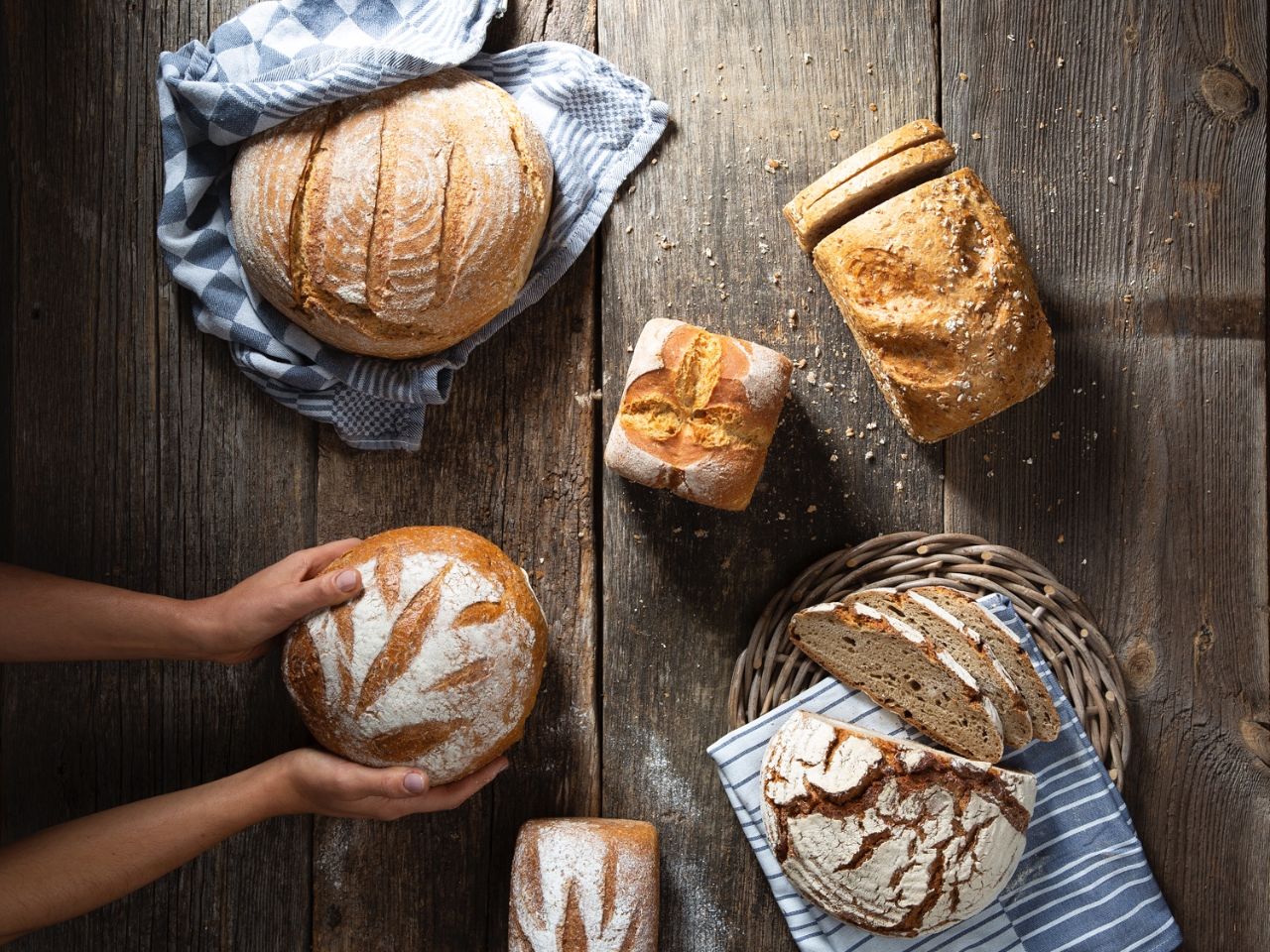 De Trog: tijd voor biobrood | Bio-Planet, jouw biosupermarkt