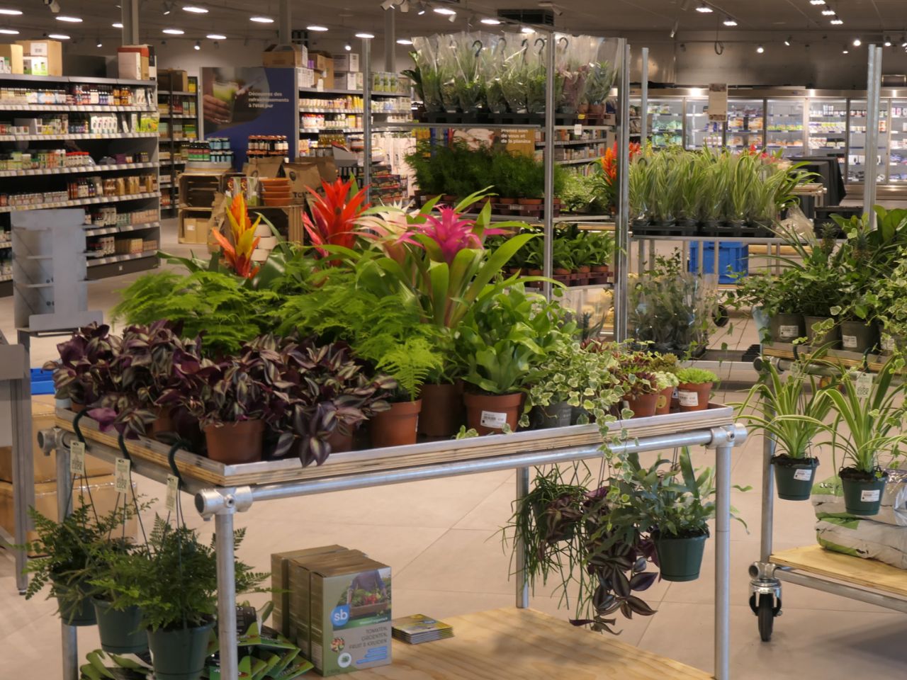 YMPA, duurzame planten en bloemen | Bio-Planet, jouw biosupermarkt