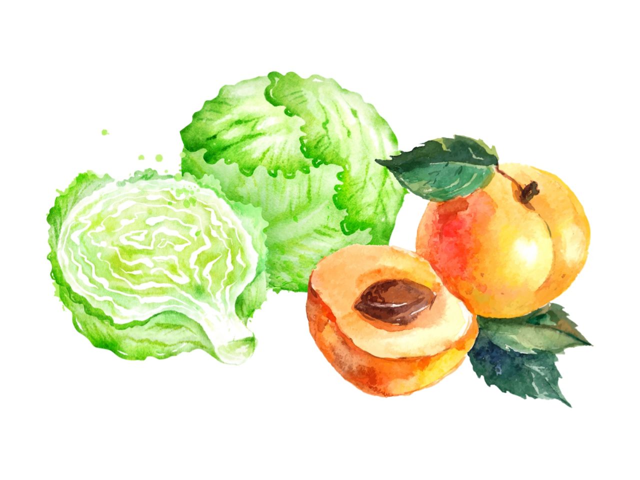 Seizoensgroenten en -fruit: sla en steenvruchten | Bio-Planet, jouw ...