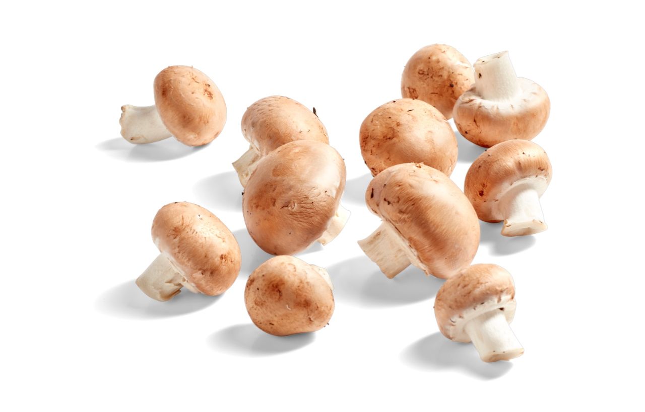 Champignons | Bio-Planet, votre supermarché bio